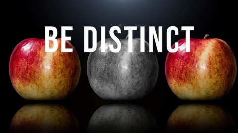 Distinct in My Influence: February 3 - The Shepherd's Church